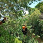 Tours y actividades en Gamboa: vive la naturaleza de Panamá - Civitatis