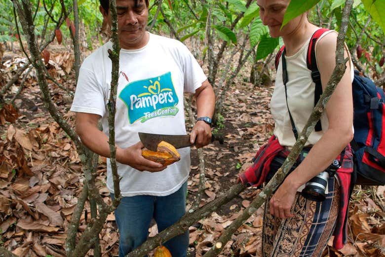 Visite privée sur le thème du cacao + Vallée Sacrée des Incas en 2 ...