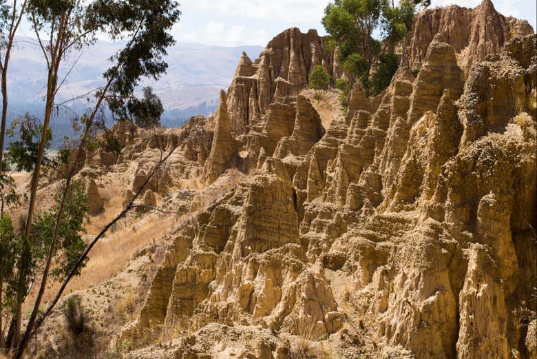 Tour of Huancayo, Jauja, Laguna de Paca + Wawi Wawi - Civitatis