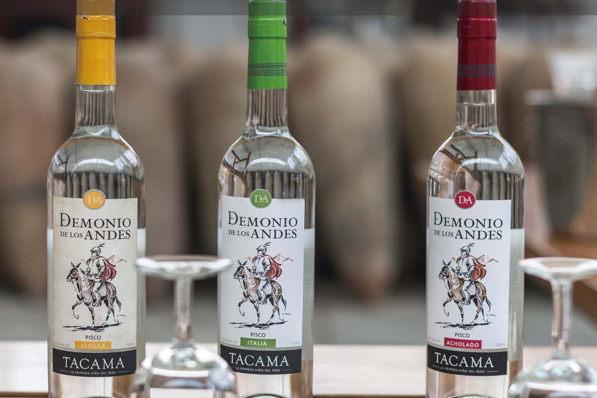 Cata de piscos en la bodega Tacama de Ica - Civitatis.com