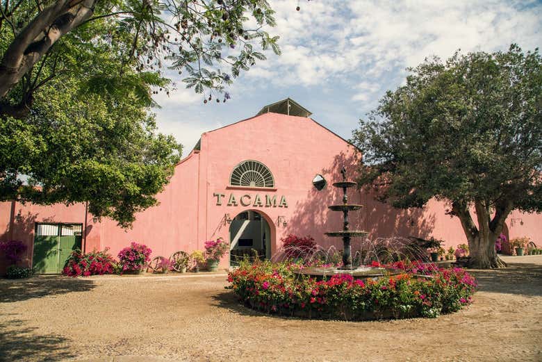 Visite de l'hacienda et de la cave de Tacama d'Ica + Dégustation de vin