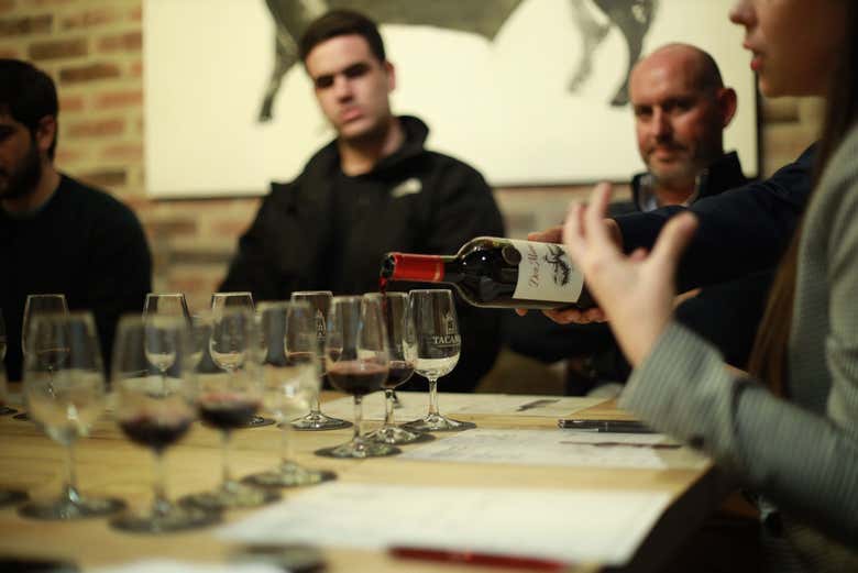 Visite de l'hacienda et de la cave de Tacama d'Ica + Dégustation de vin