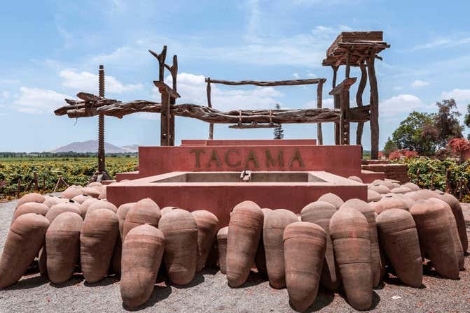 Visita alla tenuta e alla cantina Tacama + Degustazione di vini, Ica