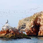 Excursiones y actividades en Ica | Reserva al mejor precio - Civitatis