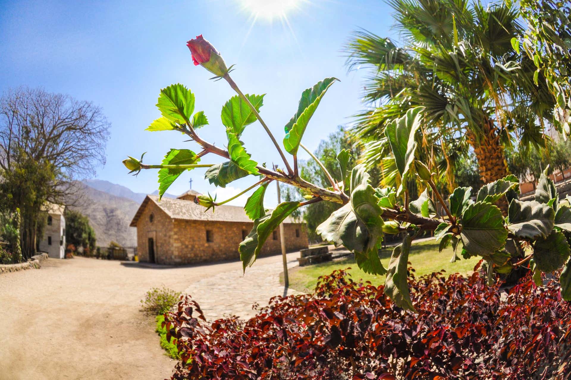 Excursión a Santa Rosa de Quives y Canta desde Lima