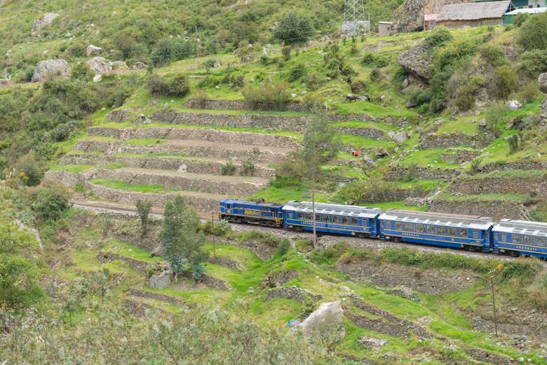 Train to Machu Picchu from Ollantaytambo - Book at Civitatis.com
