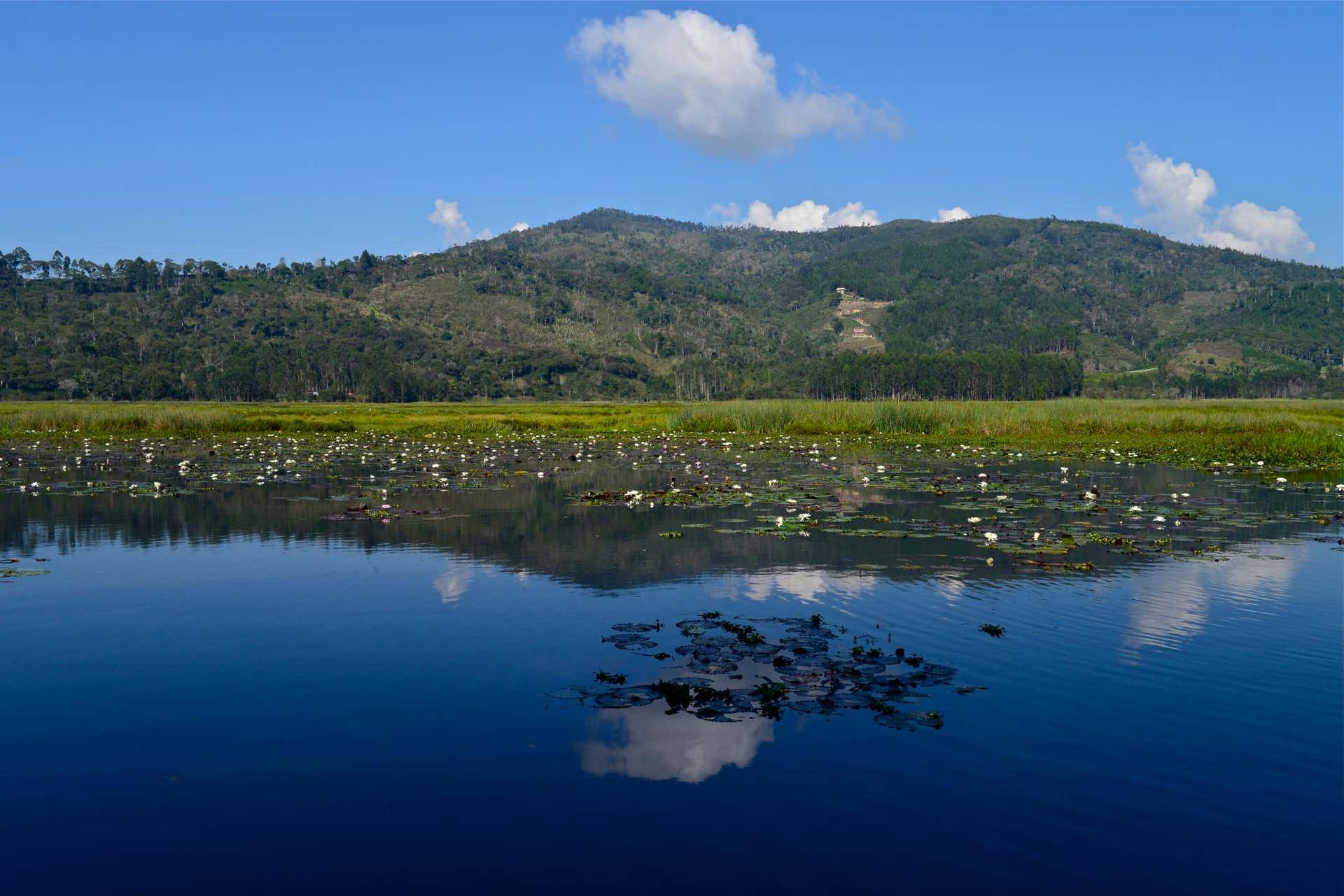 Excursión a Villa Rica desde Oxapampa - Reserva en Civitatis.com