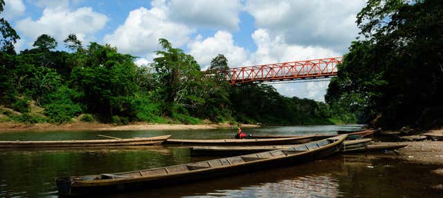 Excursión a Aguaytia desde Pucallpa - Reserva en Civitatis.com