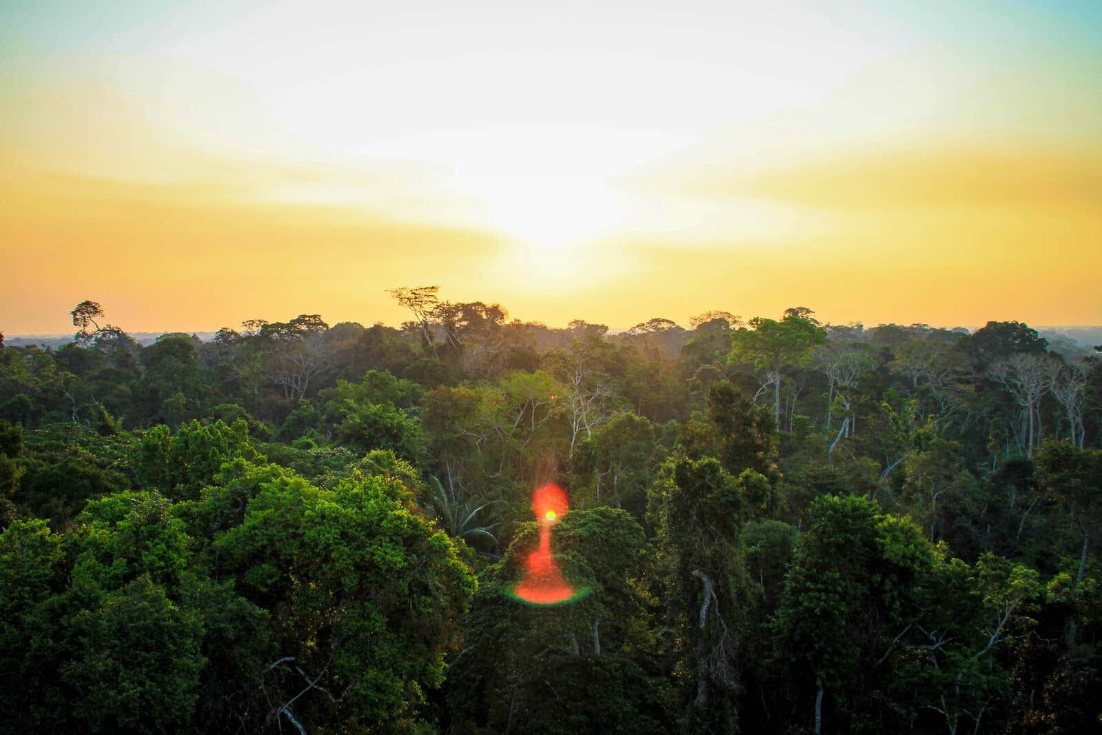 Loero Amazonian Community 2 or 4-Day Visit from Puerto Maldonado