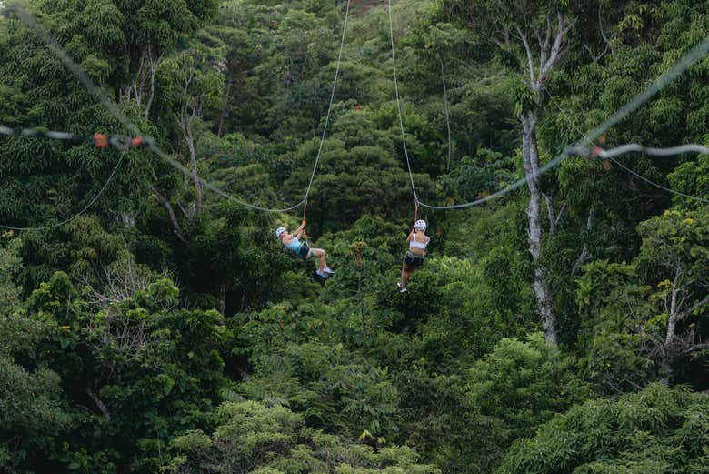 Excursión al parque Taytamaki desde Tarapoto - Civitatis.com