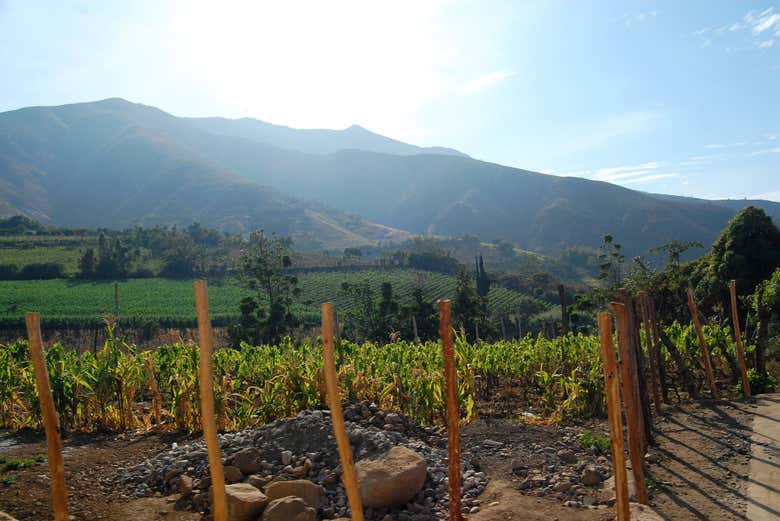 Cascas Day Trip from Trujillo - Book Online at Civitatis.com