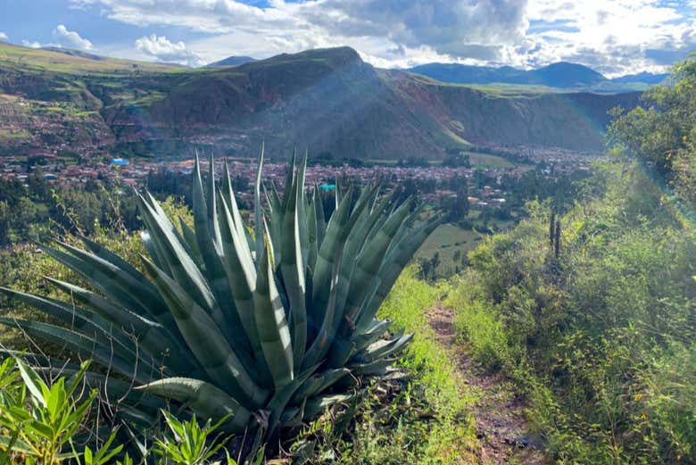 Free tour aux saywas depuis Urubamba - Réservez sur Civitatis.com