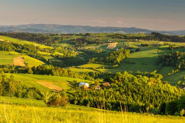 Lake Roznów Horse Riding Tour from Krakow - IntroducingKrakow.com