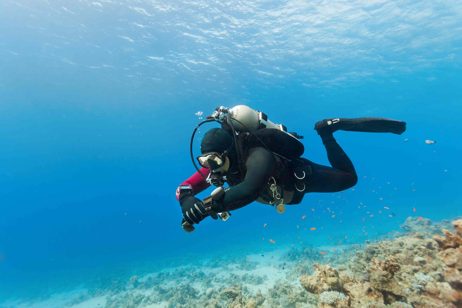 Scuba Diving for Beginners in Albufeira - Book at Civitatis.com