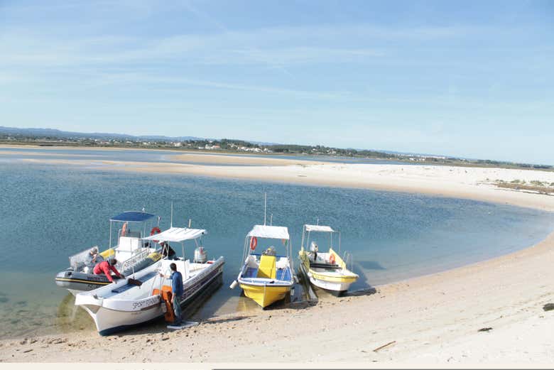 Excursão a Olhão + Passeio de barco pela Ria Formosa saindo de Armação ...