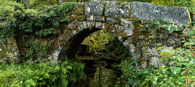 Hiking in Castro Laboreiro - Book Online at Civitatis.com
