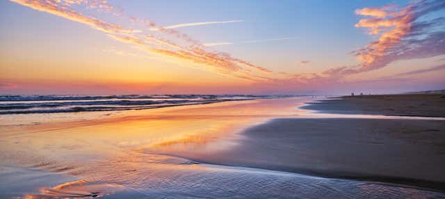 Setúbal Bay Sunset Boat Ride from Lisbon - Book at Civitatis.com
