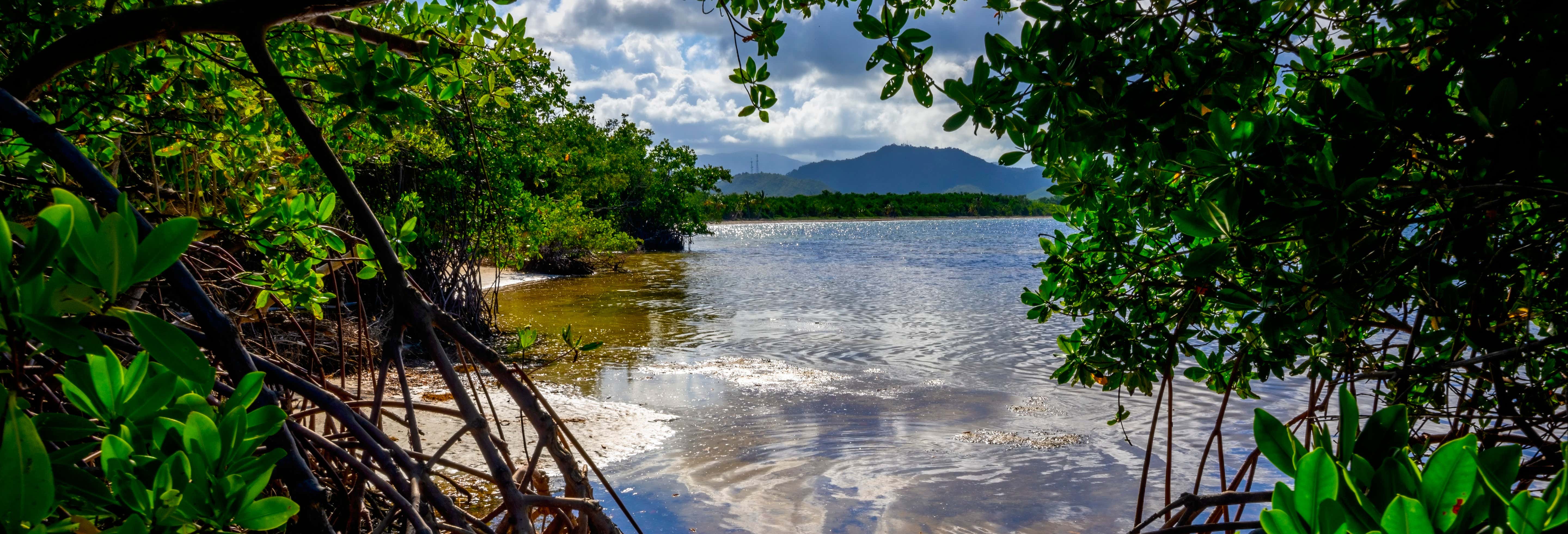 Activities, Guided Tours and Day Trips in Ceiba - Civitatis.com