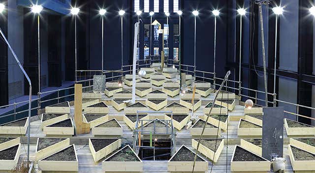 Tate Modern - Orario, prezzo e ubicazione a Londra