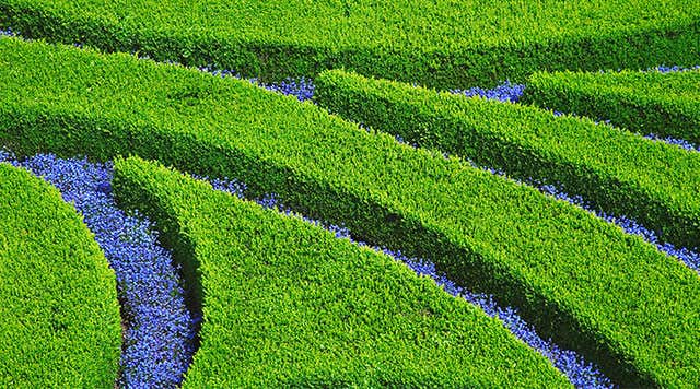 Vrtba Garden - A Baroque Garden in the Heart of Prague