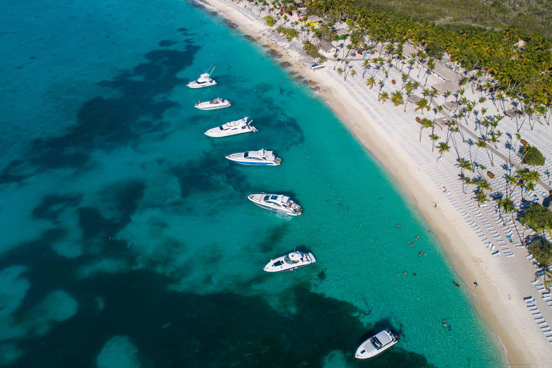 Excursión a Isla Catalina con snorkel desde Boca Chica