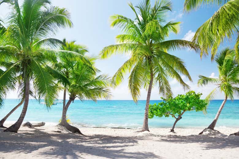 Catalina Island Tour + Snorkelling from Boca Chica - Civitatis.com