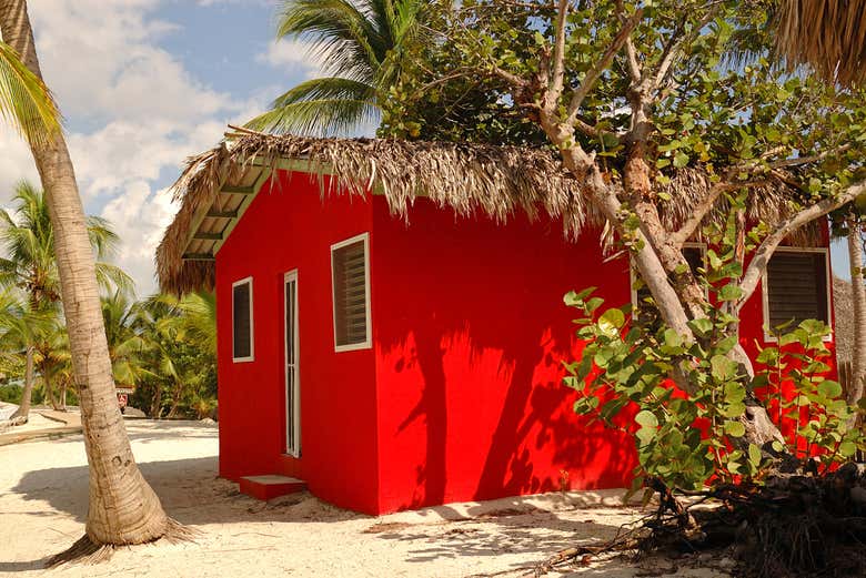 Excursión a Isla Catalina con snorkel desde La Romana - Civitatis