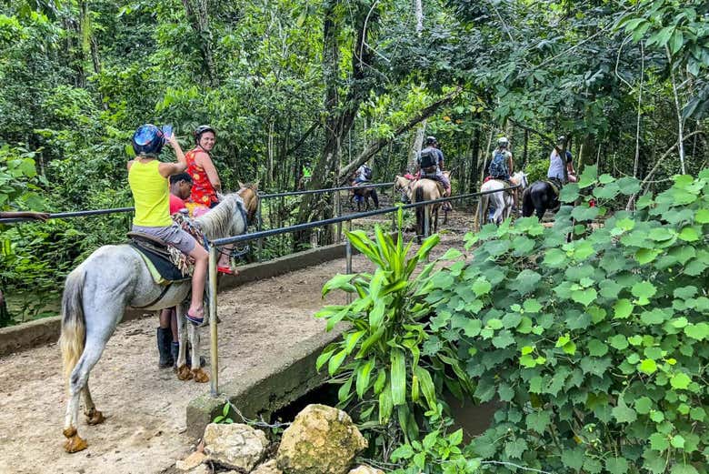 Excursion à Samaná depuis La Romana - Civitatis.com