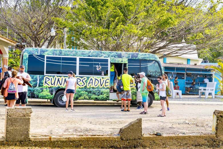 Samana Trip from La Romana - Book Online at Civitatis.com