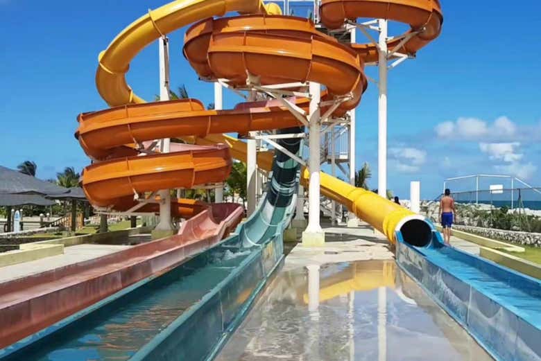 Puerto Plata Ocean World Swimming with Dolphins - Civitatis.com