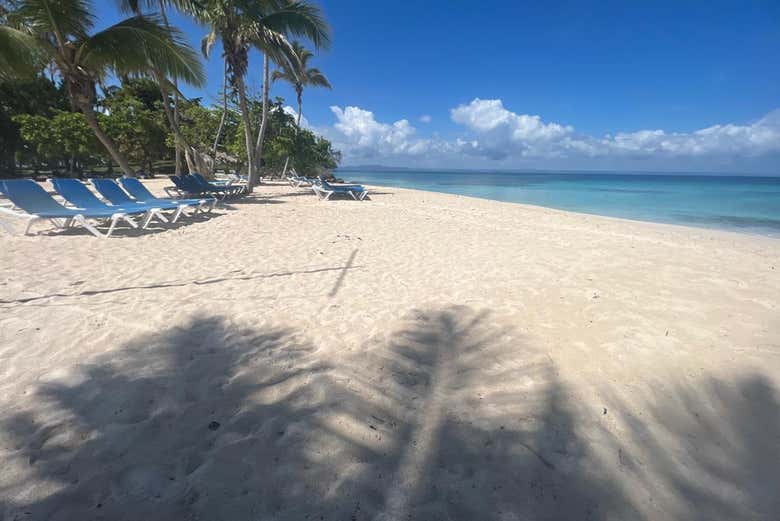 Excursión a Samaná desde Punta Cana - Reserva en Civitatis.com