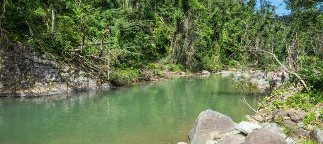 Excursión a Los Cacaos y los charcos La Neverita desde Santo Domingo ...