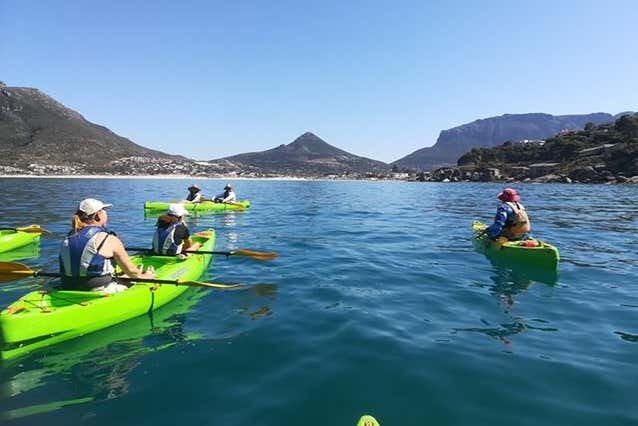 Cape Town Kayak Tour - Book Online at Civitatis.com
