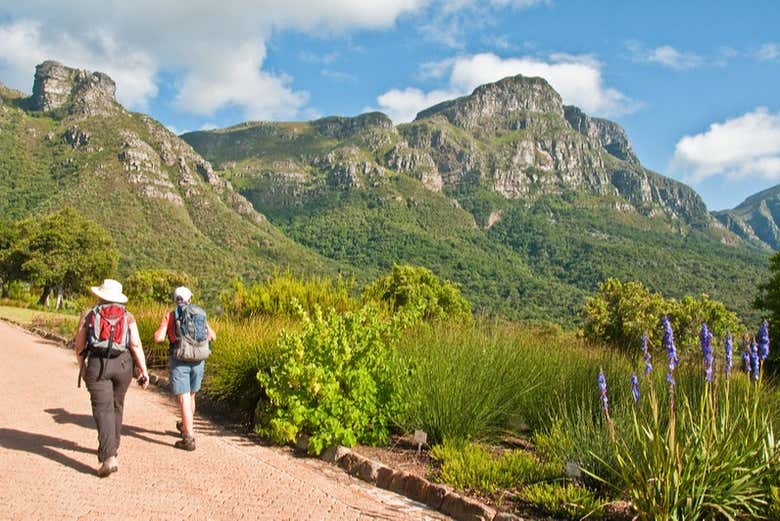 Skeleton Gorge Hiking Tour from Cape Town - Book at Civitatis.com