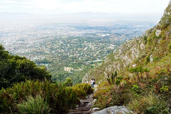 Skeleton Gorge Hiking Tour from Cape Town - Book at Civitatis.com