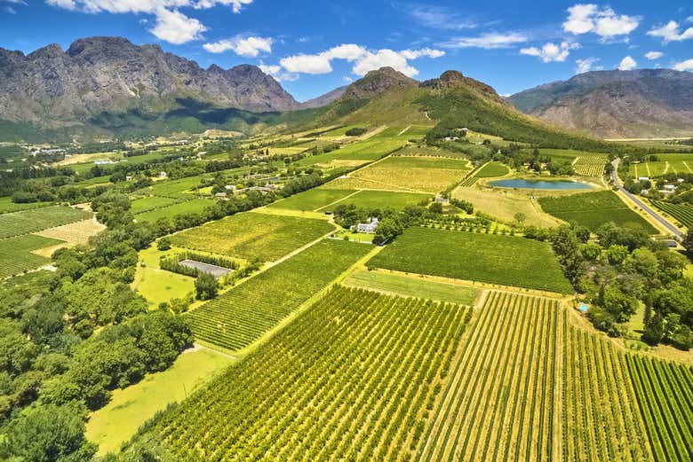 Franschhoek E-Bike Tour - Book Online at Civitatis.com