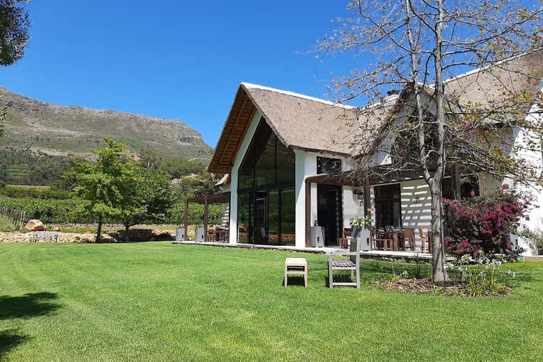 Senderismo por el valle de Banhoek + Visita a una bodega, Stellenbosch