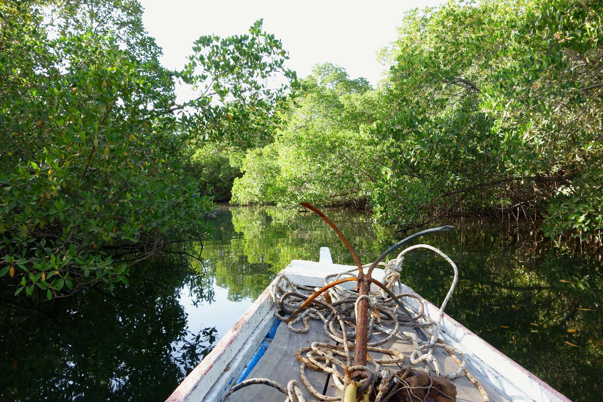 Excursion privée dans le delta du Saloum depuis Saly