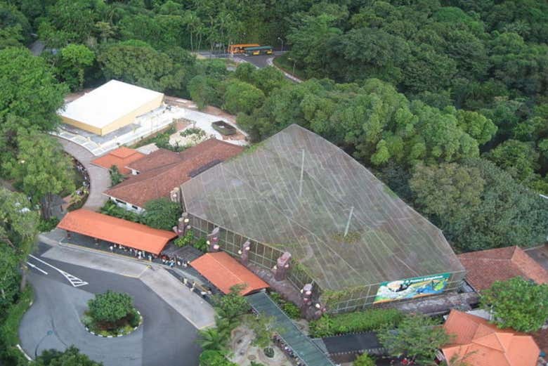Billet pour le Butterfly Park & Insect Kingdom, Singapour
