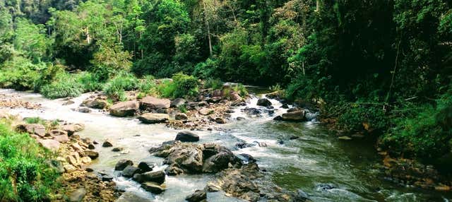 Sinharaja Forest Reserve Private Day Trip Galle - Civitatis.com