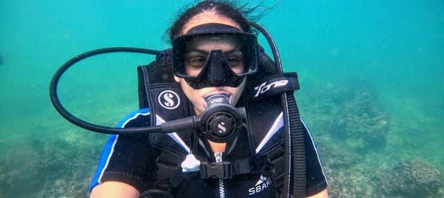 Curso de mergulho PADI Open Water em Hikkaduwa - Civitatis Brasil