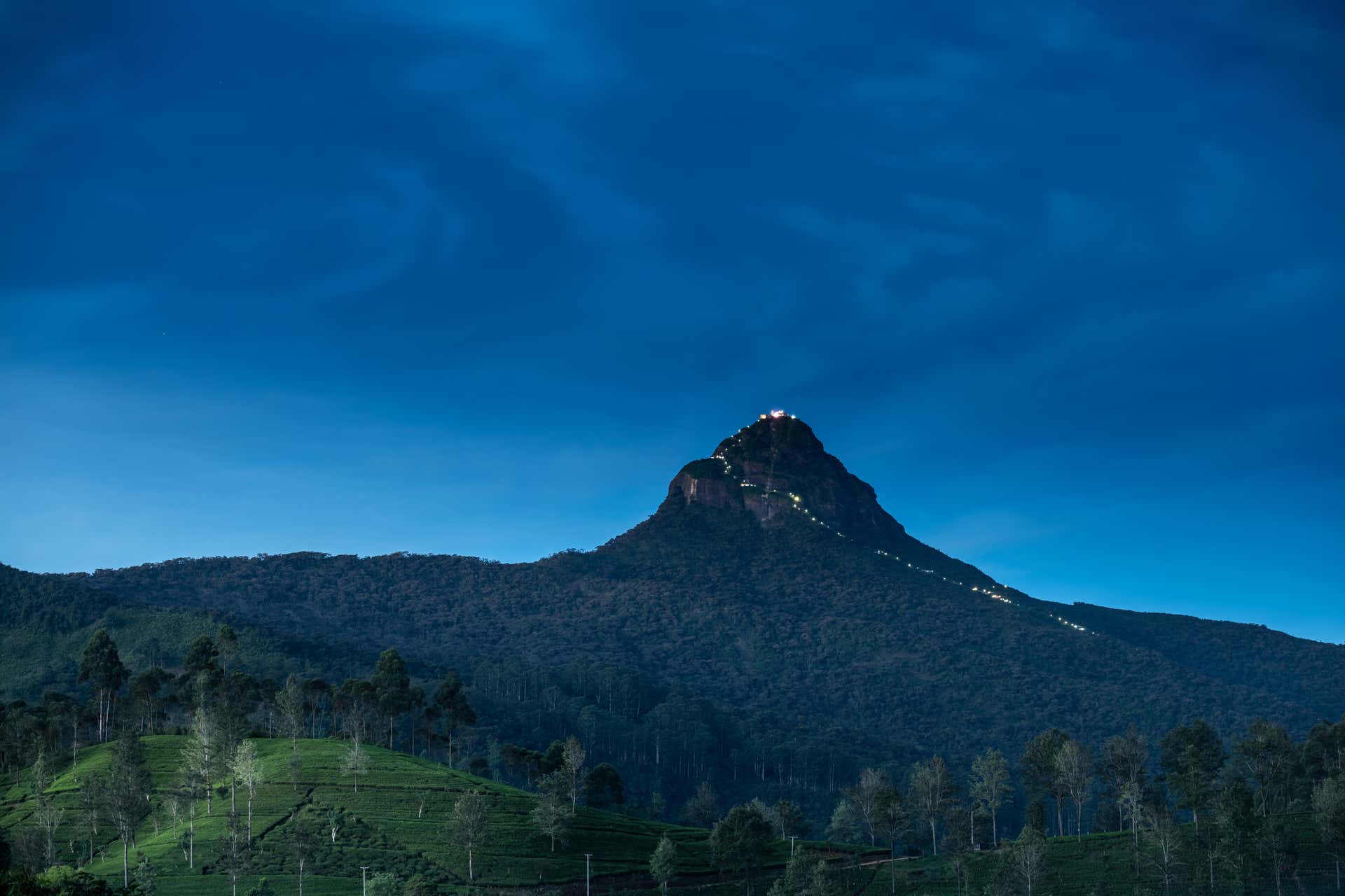 Ruta privada de trekking por el Pico de Adán desde Kitulgala