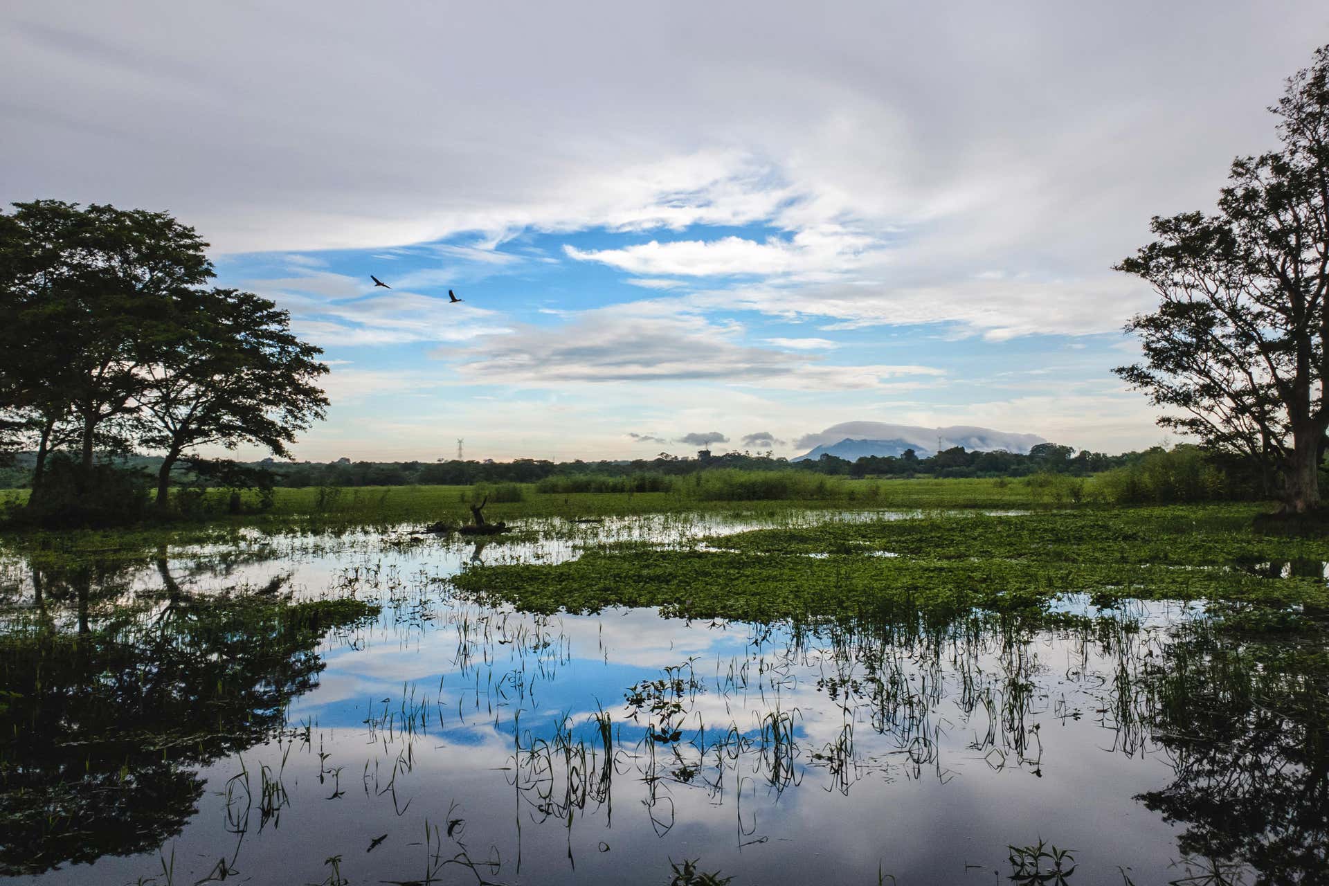 Excursión a Habarana desde Sigiriya - Reserva en Civitatis.com