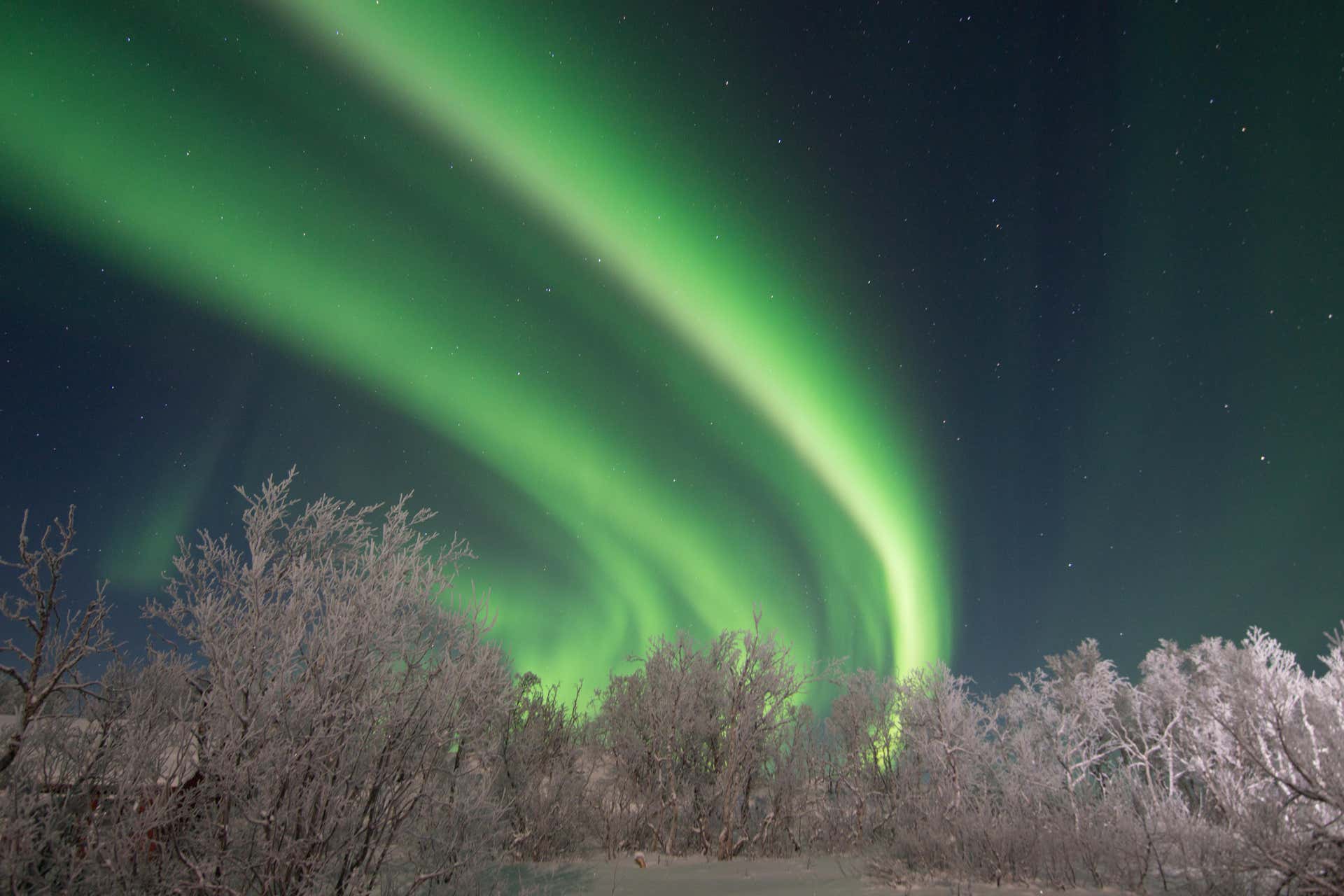 Tour de la aurora boreal por el Parque Nacional de Abisko, Abisko