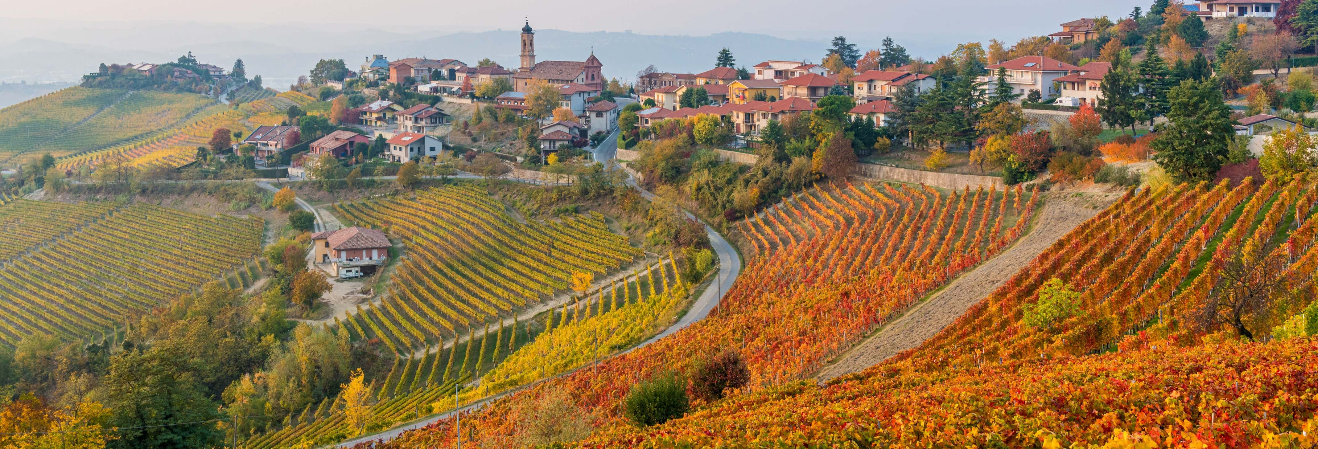 Activities, Guided Tours and Day Trips in Monferrato - Civitatis